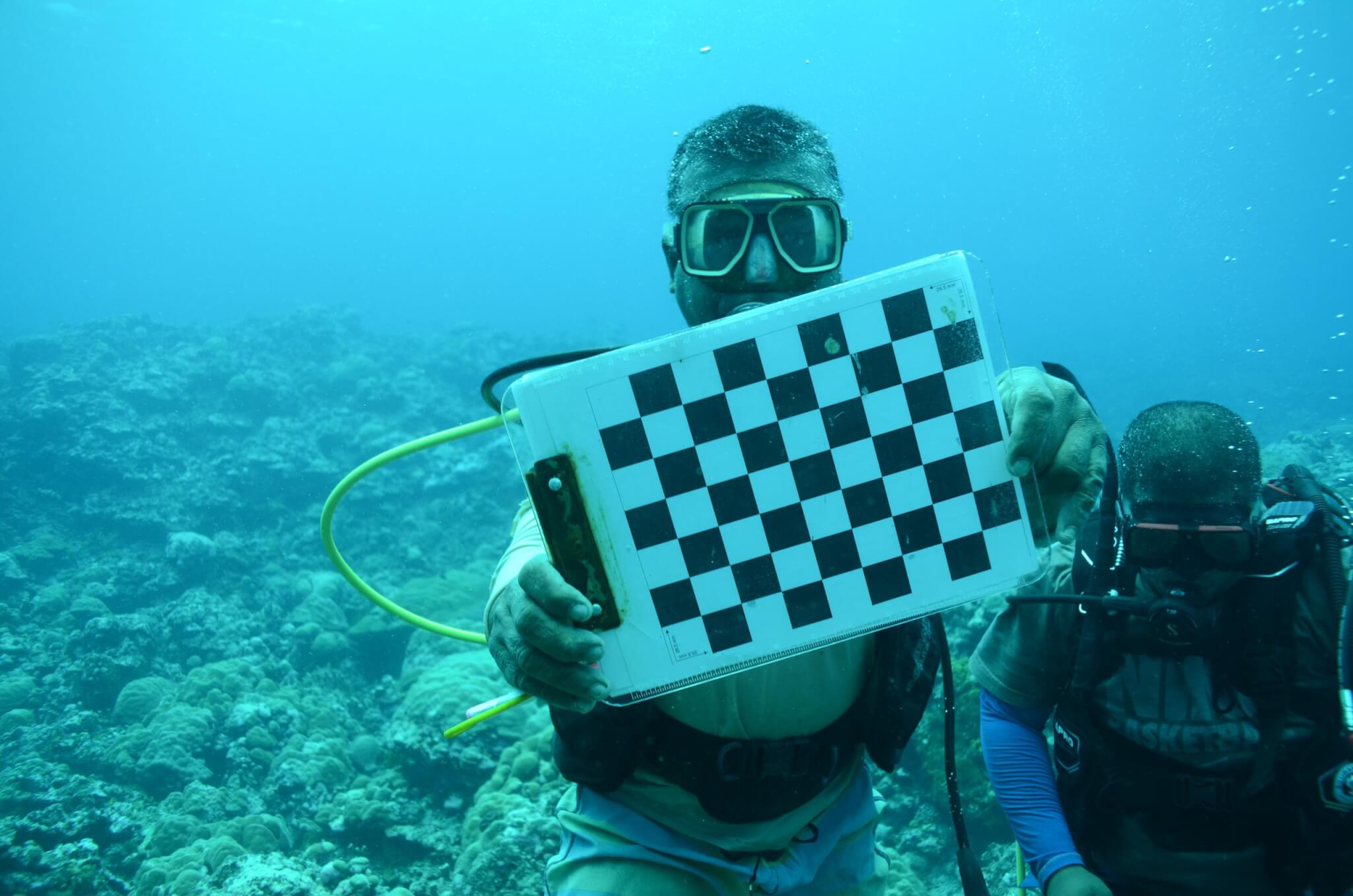 Pohnpei and Helen Reef teams have independently imaged their reefs! | OneReef | Vibrant Reefs ...