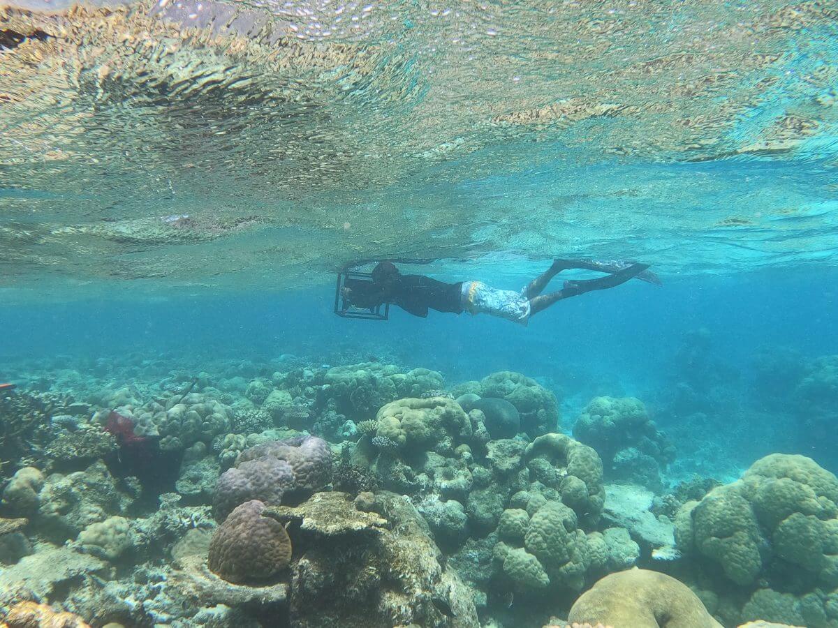 Island Imaging Teams | OneReef | Vibrant Reefs, Thriving Communities