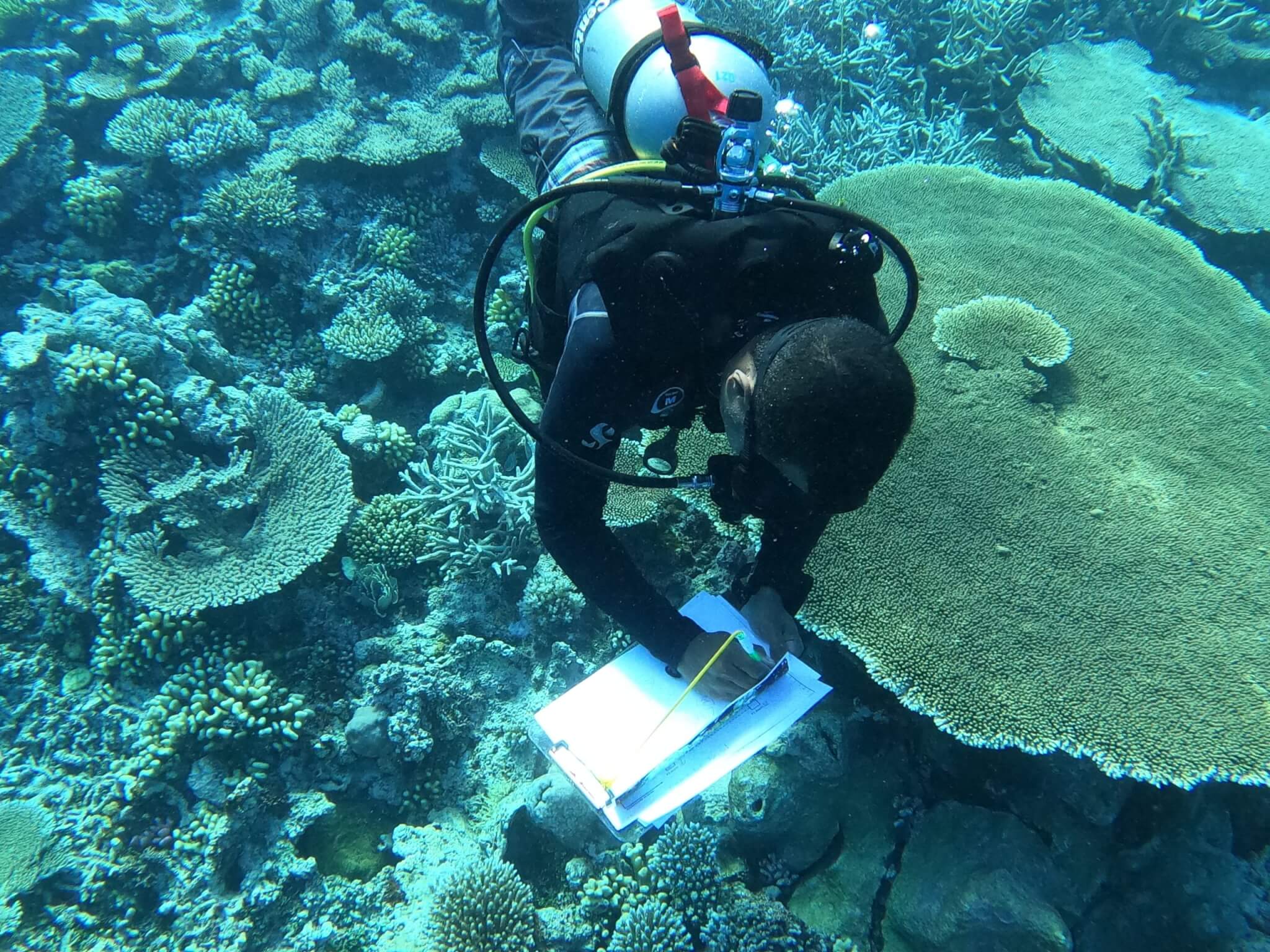 Island Imaging Teams | OneReef | Vibrant Reefs, Thriving Communities