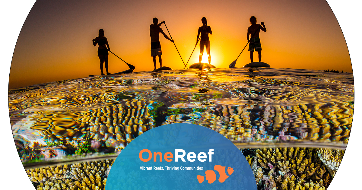 Serving our Ocean Stewards | OneReef