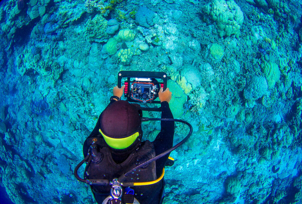 Serving our Ocean Stewards | OneReef